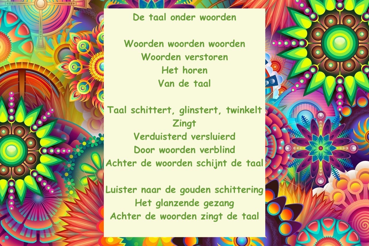 (Bij)les Nederlands - De Autodidact